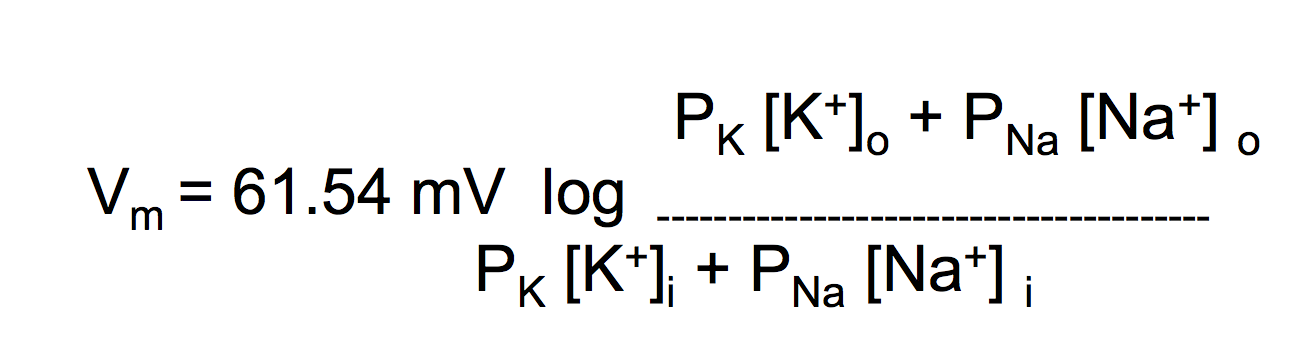 The Nernst and Goldman Equations – Nico Addai